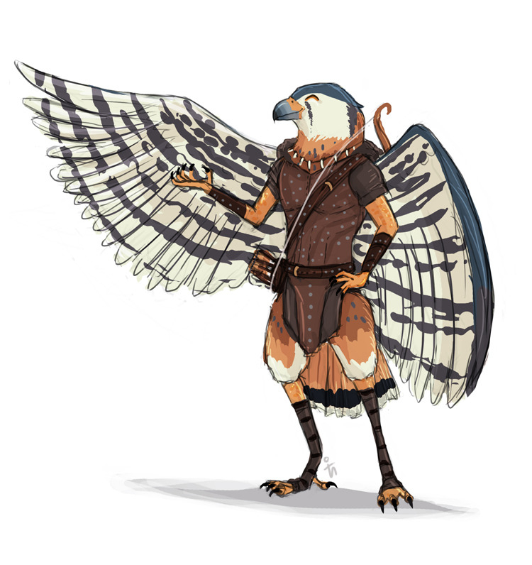 Aarakocras Nombres Personalidad e Historia Imágenes y Tokens