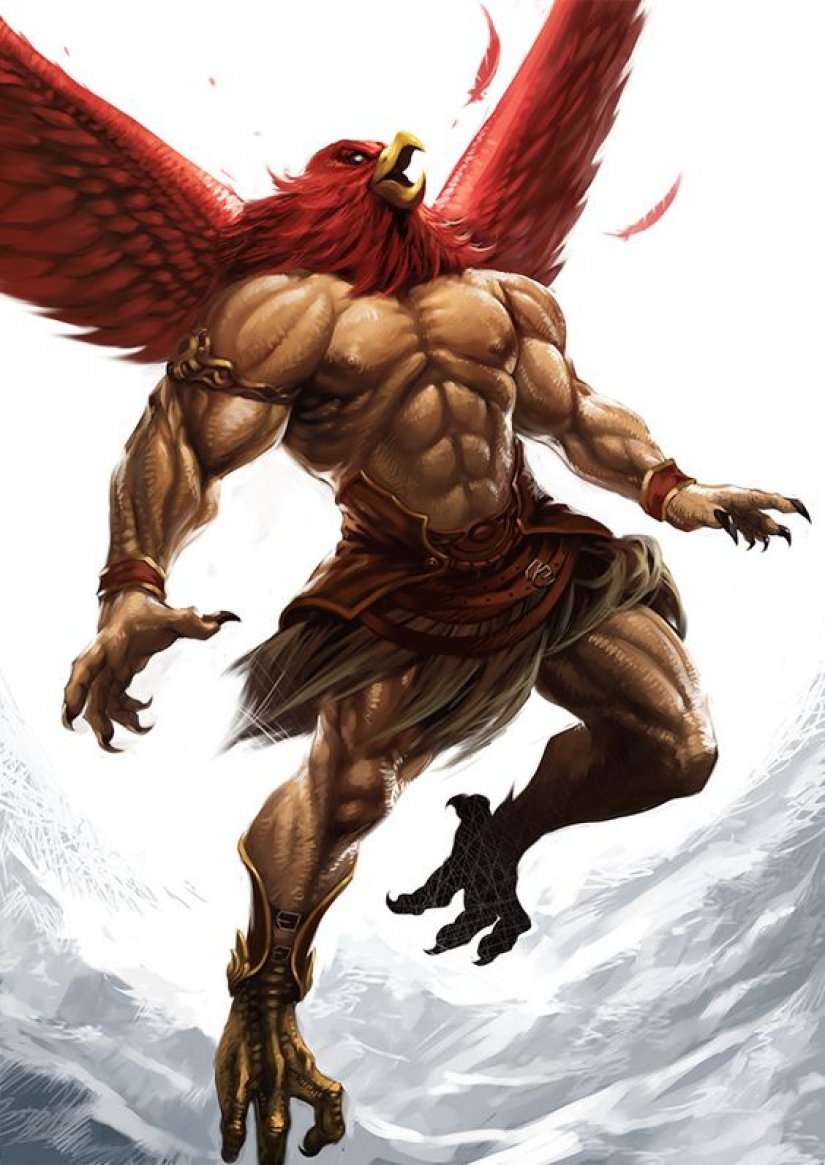 Aarakocras Nombres Personalidad e Historia Imágenes y Tokens