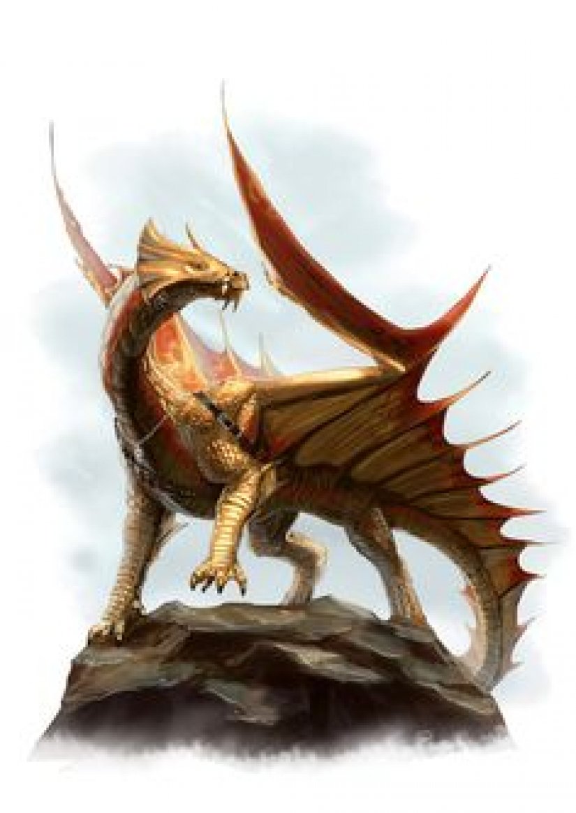 Dragones DnD Todos los tipos al detalle