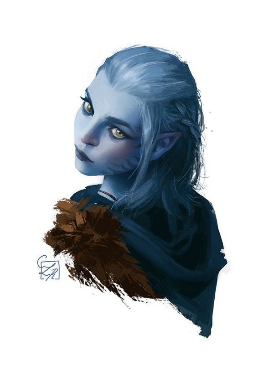Los Drow Historia, Juegos e Imagenes